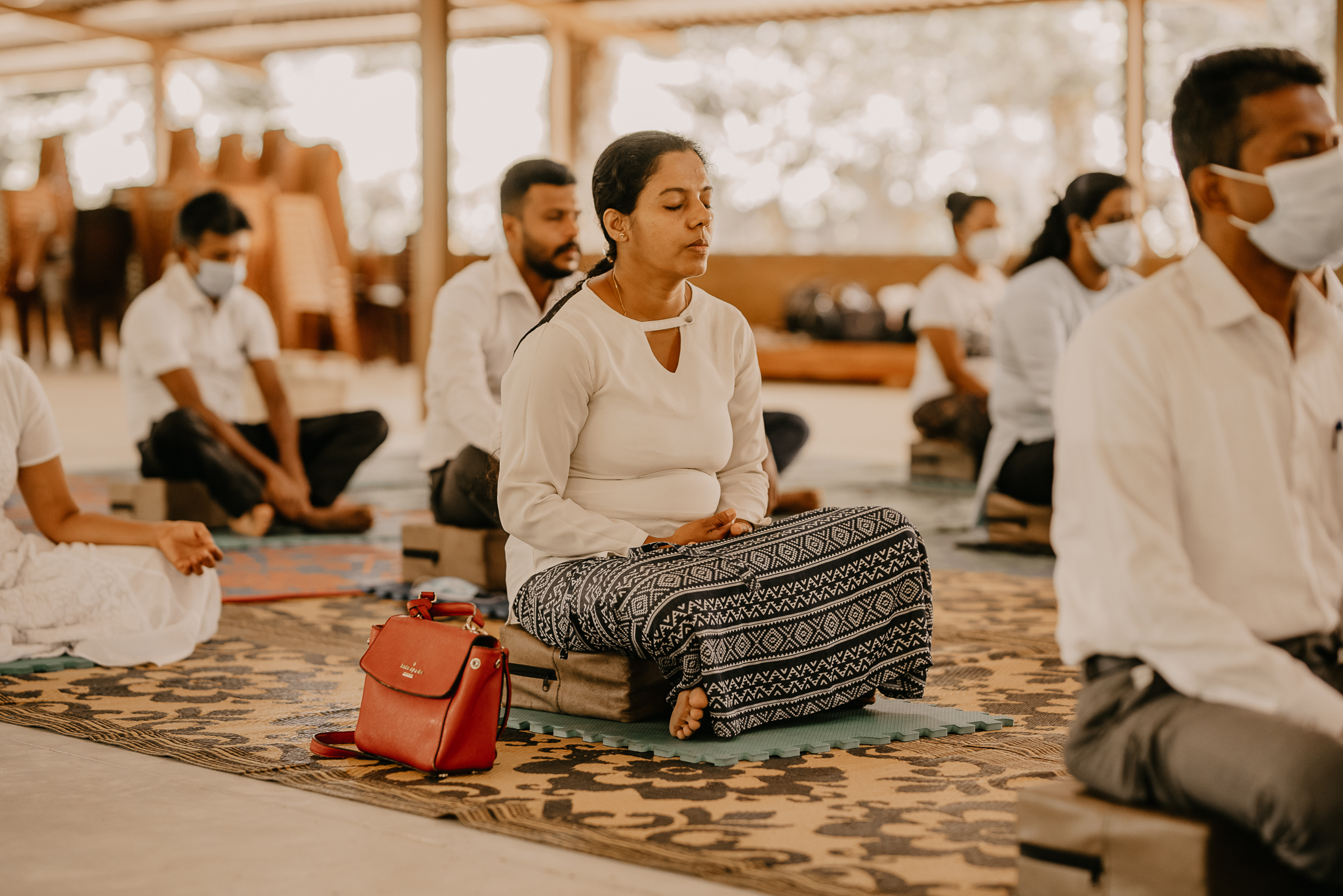 NDDCB | Drug Impaied Driving